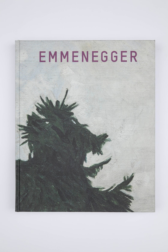 Hans Emmenegger - KUNSTMUSEUM LUZERN