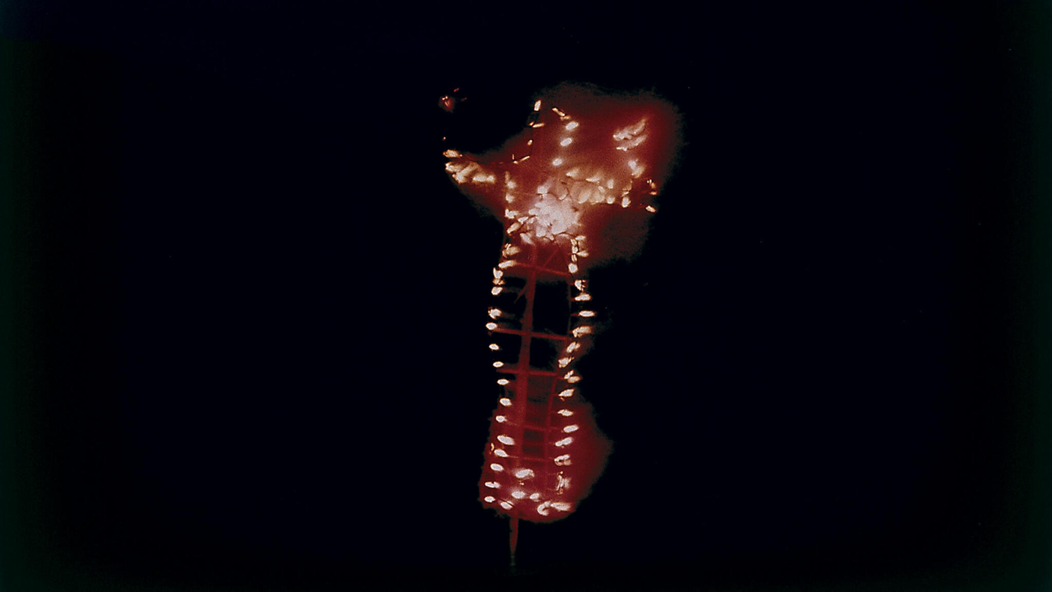 Ana Mendieta (1948-1985) - Body Tracks - KUNSTMUSEUM LUZERN