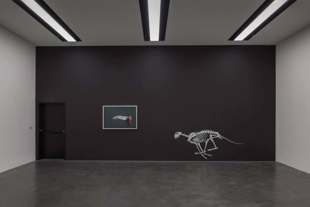 Robin Rhode - Rhode Works | KUNSTMUSEUM LUZERN